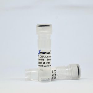 analytica 2024 – Tinzyme