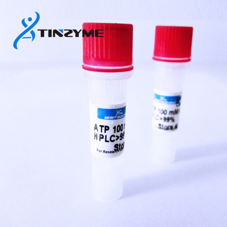 ATP 100mM solution – Tinzyme