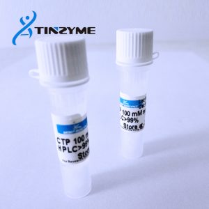 GTP 100mM solution – Tinzyme Ltd
