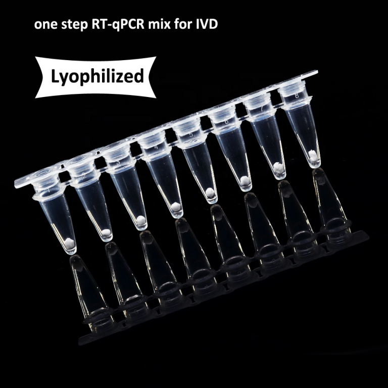 HotStar Probe One Step RT-qPCR lyophilized Powder – Tinzyme