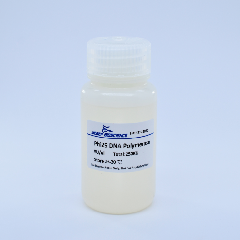 dNTP set 100mM solution – Tinzyme