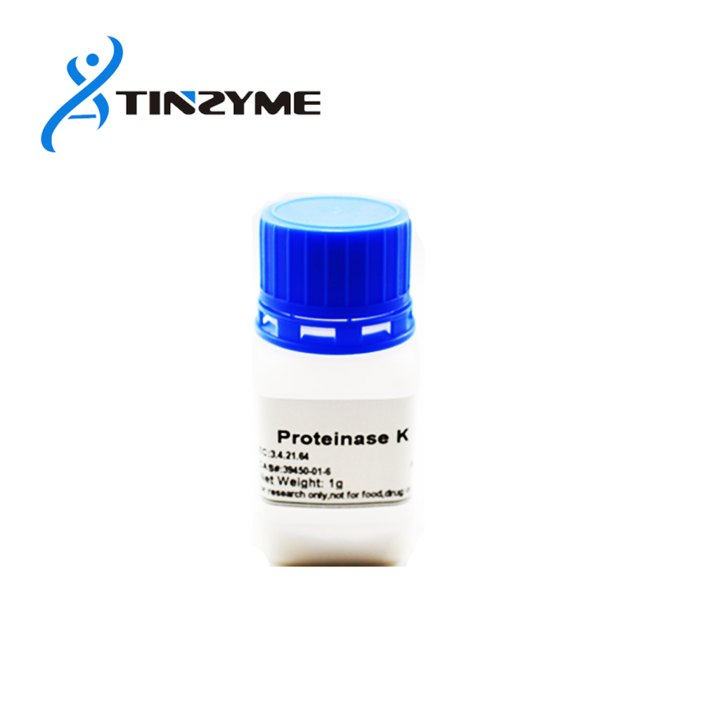 COVID-19 – Tinzyme Ltd