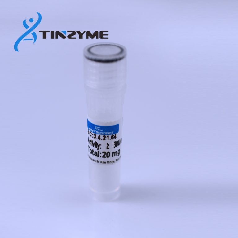 Proteinase K solution 20mg ml RT stable – Tinzyme