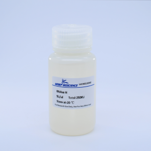 dNTP set 100mM solution – Tinzyme Ltd