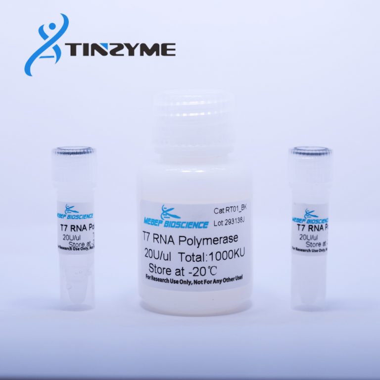T7 High Yield RNA Transcription kit – Tinzyme