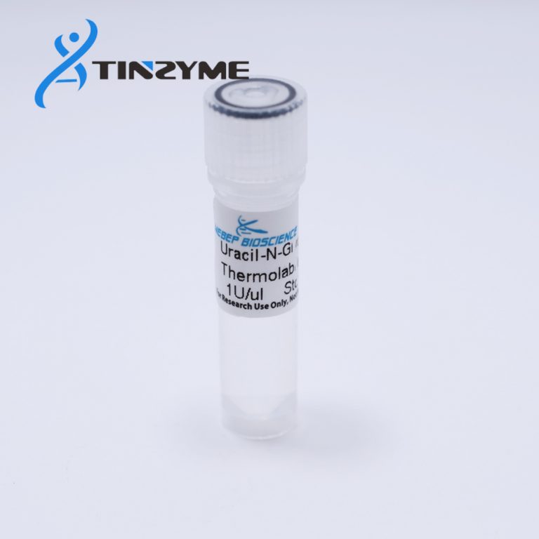 Tinzyme – Enzymes, dNTP and rNTP