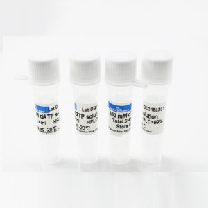 dNTP set 100mM solution – Tinzyme