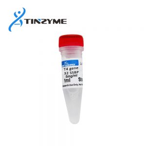 Tinzyme Ltd – Enzymes, dNTP and rNTP