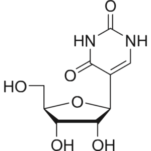 BsaI – Tinzyme Ltd