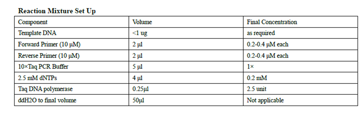 What’s a PCR Mix – Tinzyme