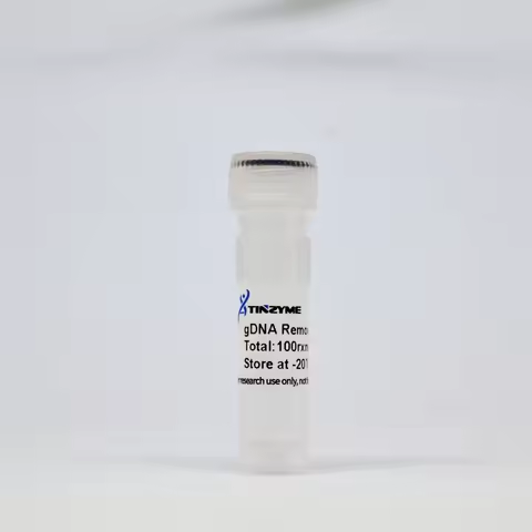 gDNA Removal RT MasterMix – Tinzyme