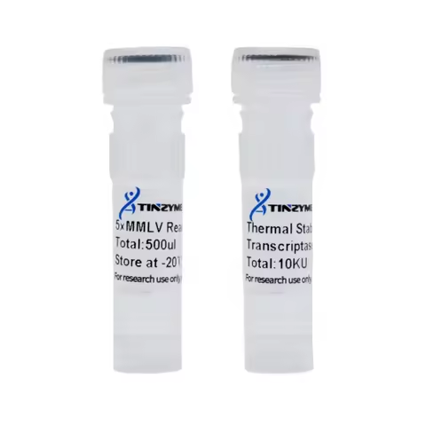 COVID-19 – Tinzyme