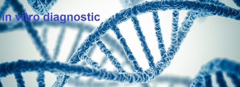 About Us – Tinzyme